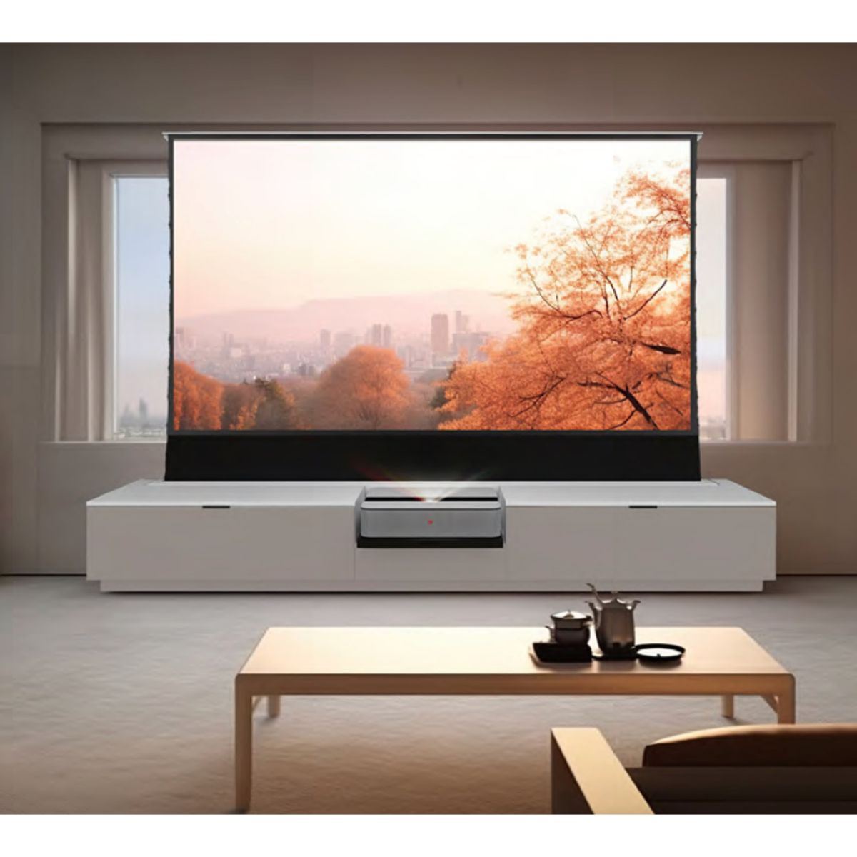 Leica Screen for the Cine 1 projector | Camtec Photo