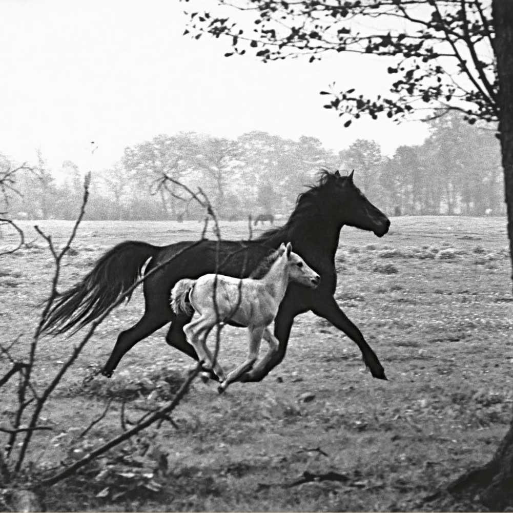 LFI August - September 2025 | Camtec Photo